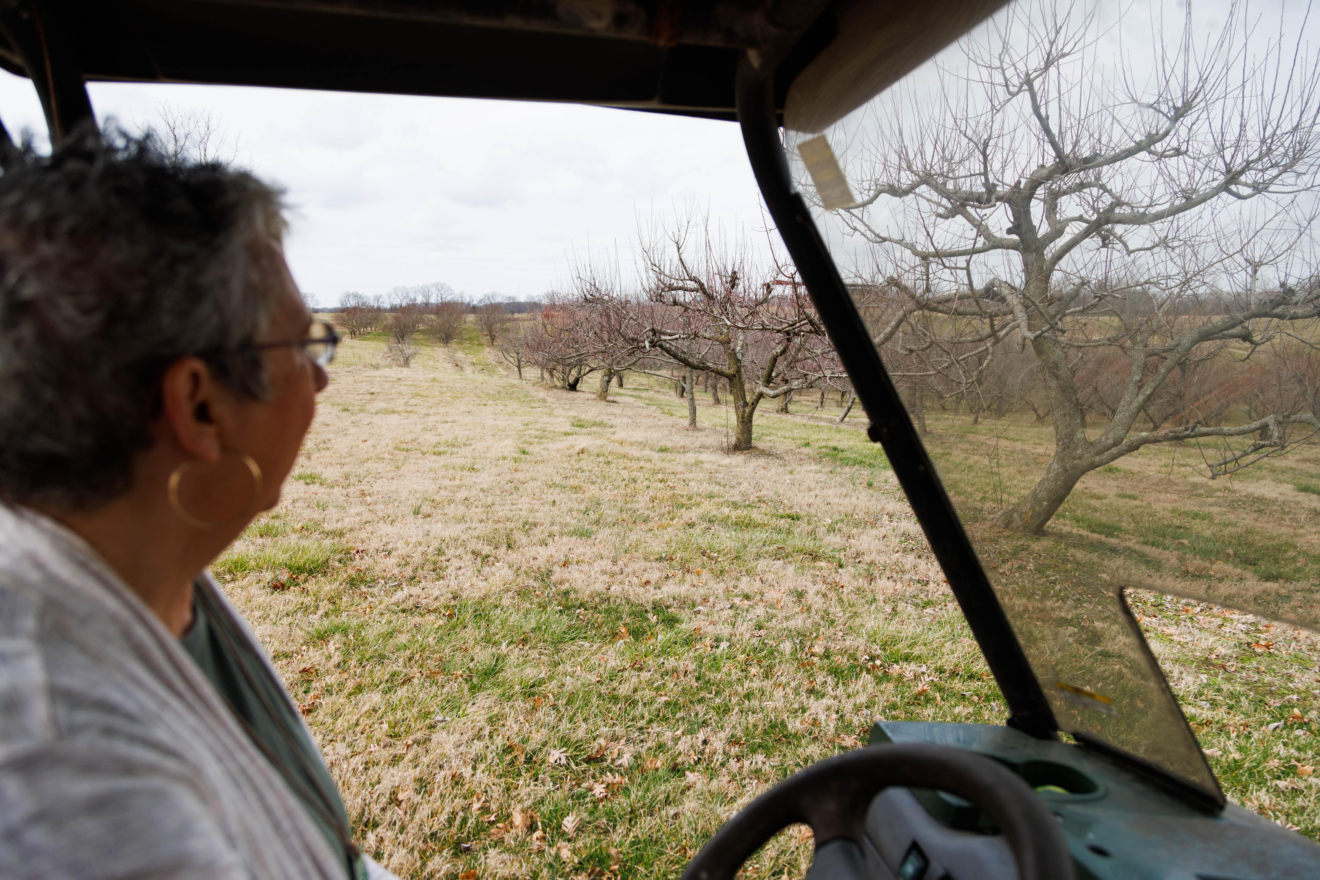 Shade Tree Farm & Orchard Pruning Class | Shade Tree Farm and Orchard